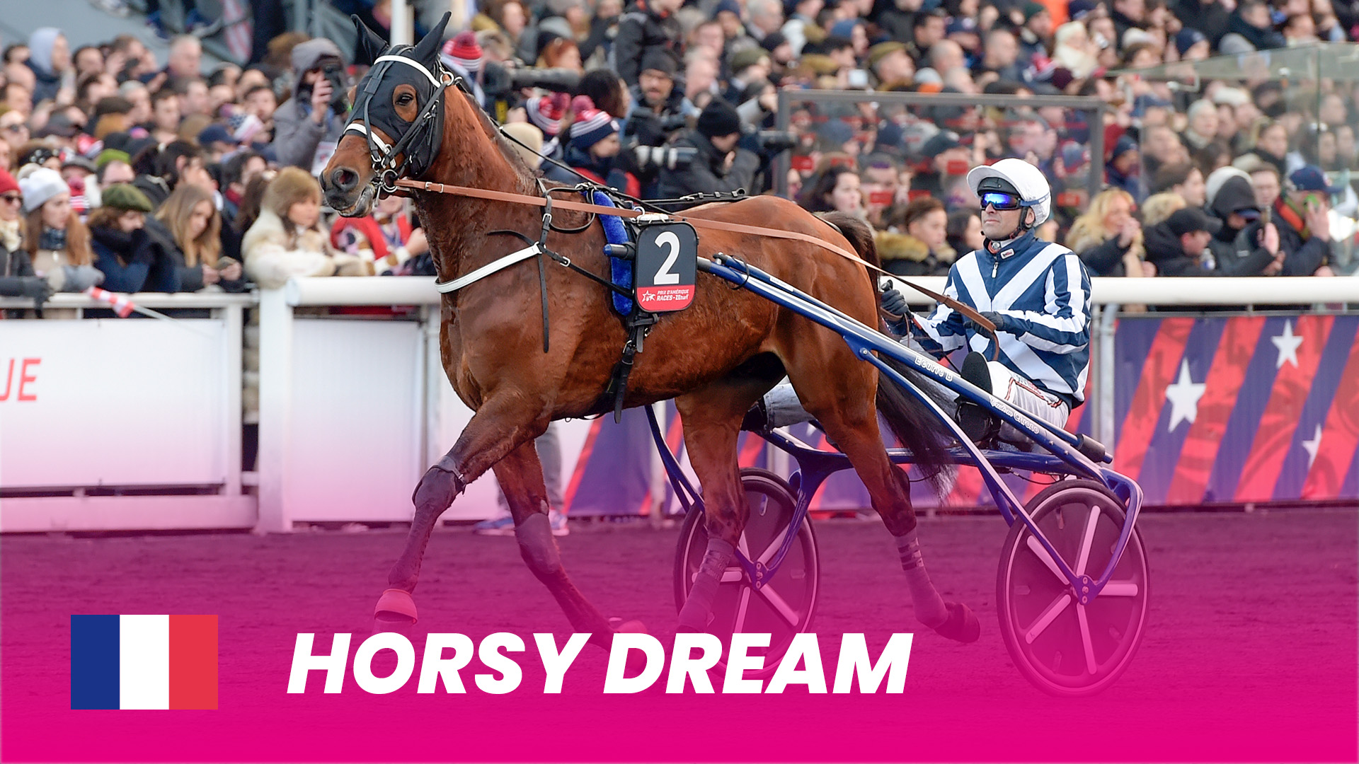 Horsy Dream inbjuden till Elitloppet - Kanal 75