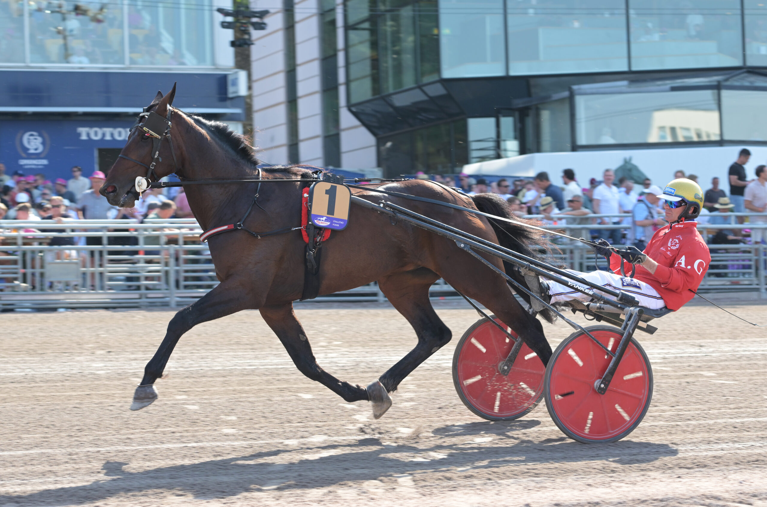 Inför V75® (jackpot): ”Tror han blir svårslagen från ledningen” - Kanal 75