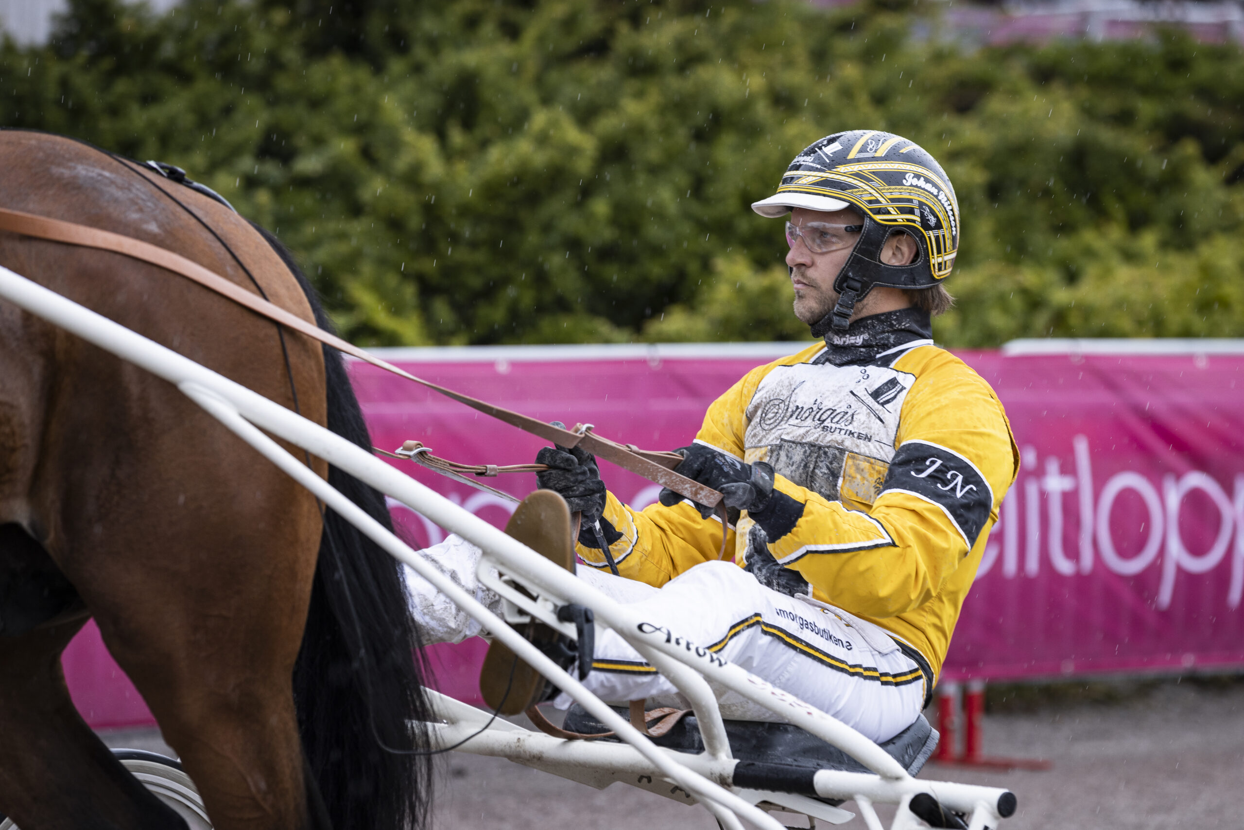 V86®: Välfylld Multijackpot väntar på onsdag efter Lucia Lanes ...